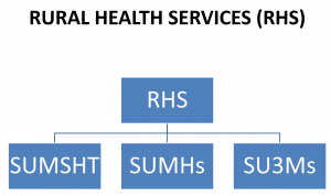Hub and Spoke Healthcare Delivery System - CCIH